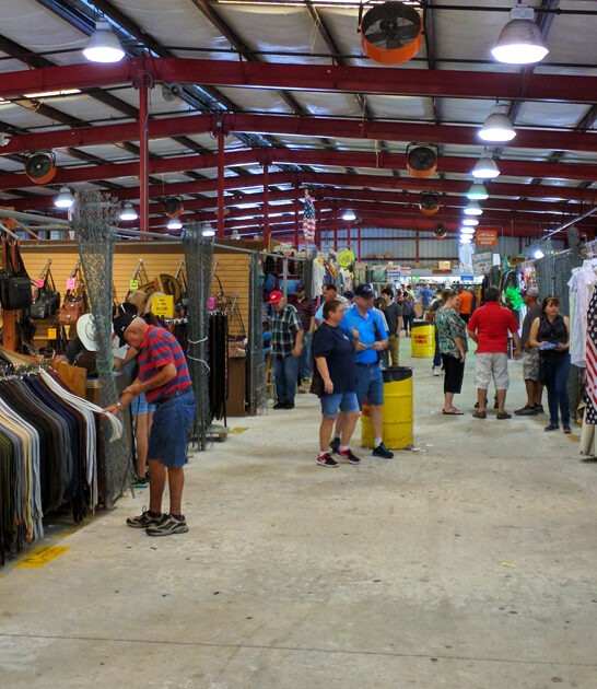 florida market outrageous bargains ftr