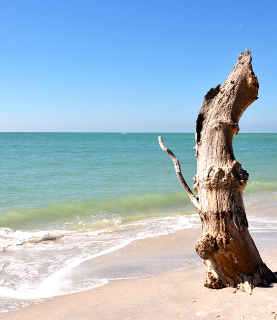 florida postcard beach destination ftr
