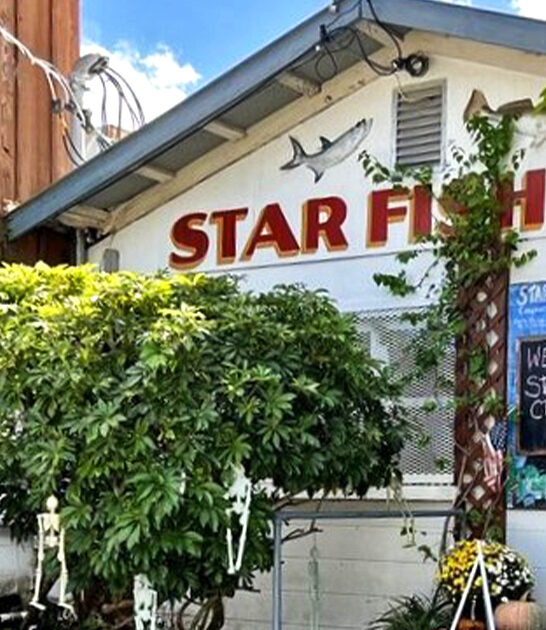 florida seafood dining stop ftr