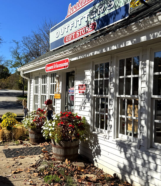 fried steak diner tennessee ftr