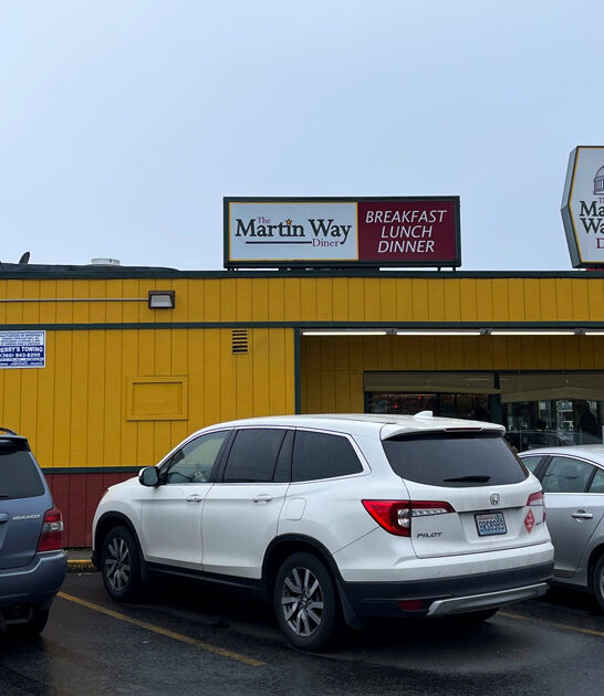 fried steak diner washington ftr