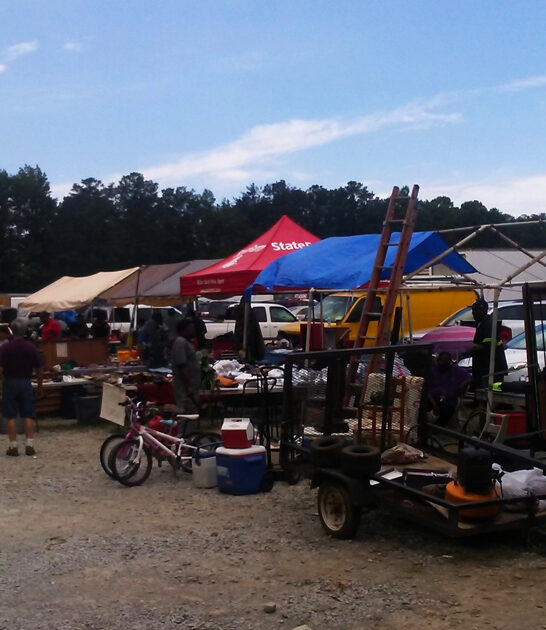 georgia enormous swap meets ftr