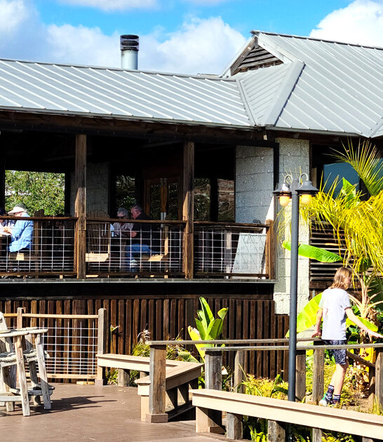 georgia fish sandwich restaurant ftr
