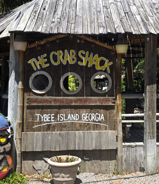 georgia fresh seafood trip ftr