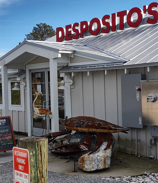 georgia seafood road journey ftr