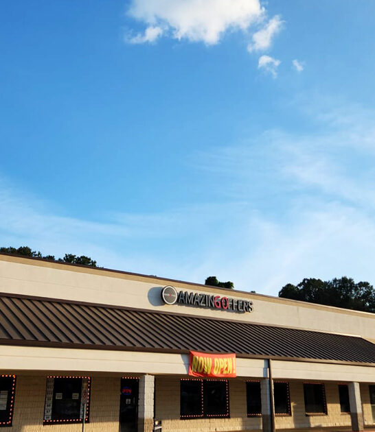 gigantic bin store georgia ftr
