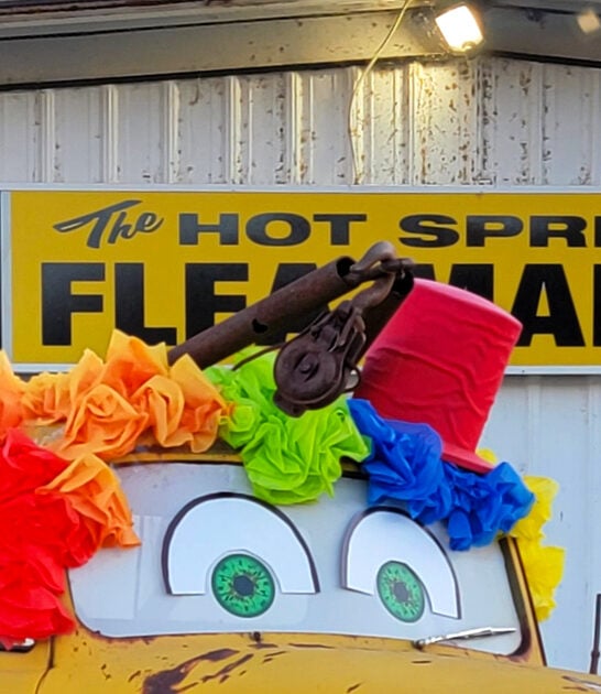 gigantic indoor flea arkansas ftr