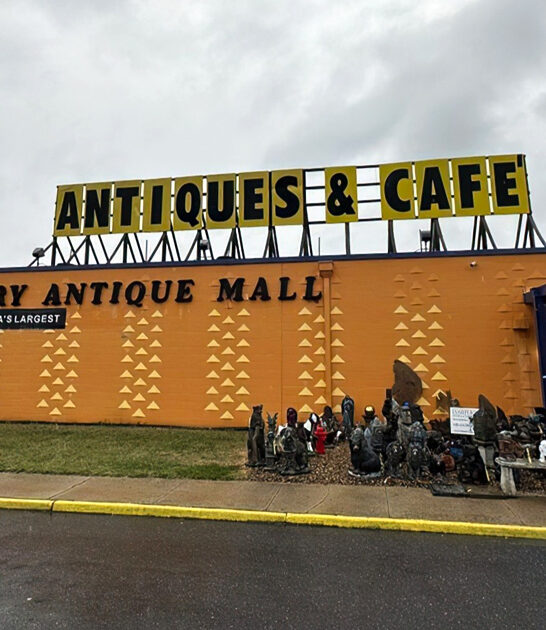 gigantic indoor market virginia ftr