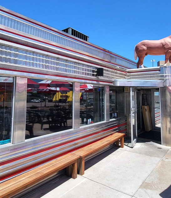 good chicken steak colorado ftr