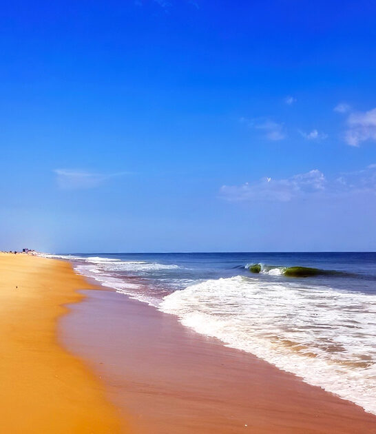 gorgeous delaware beach ftr