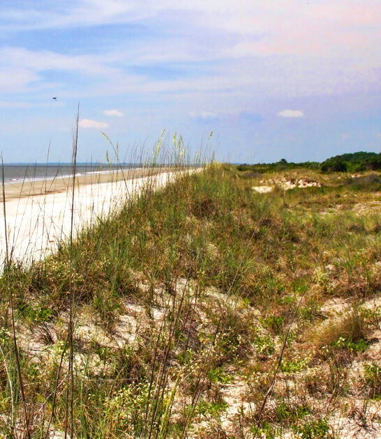 gorgeous secret beach georgia ftr