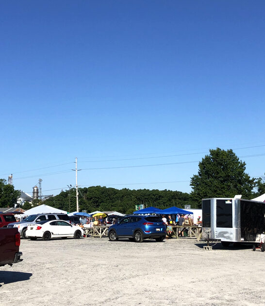 hidden market gem delaware ftr