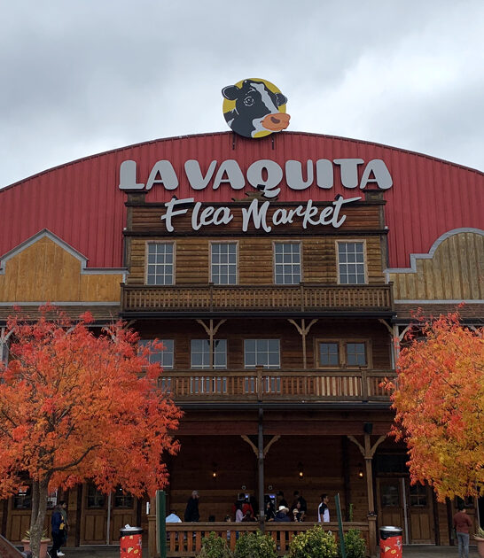 hidden market gem georgia ftr