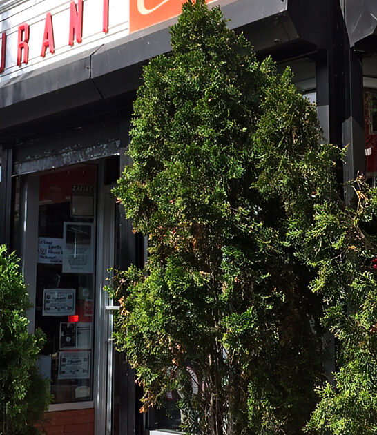 iconic breakfast new york ftr