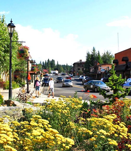 idaho antique hunting journey ftr