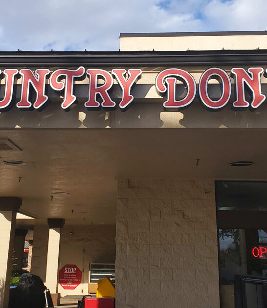 idaho known apple fritters ftr