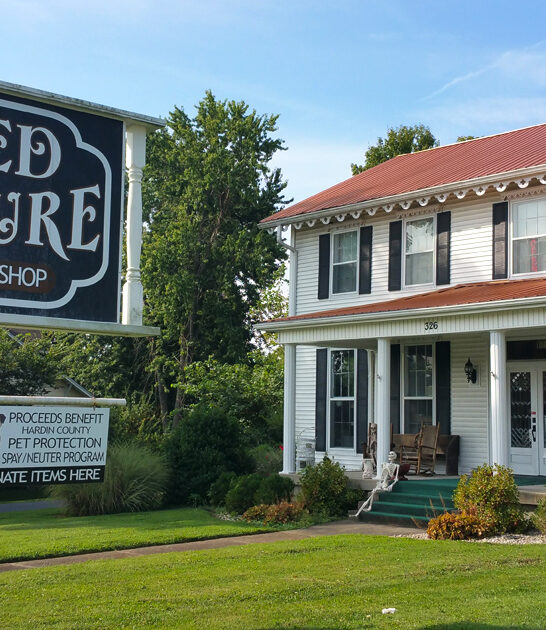 kentucky locals thrift store ftr