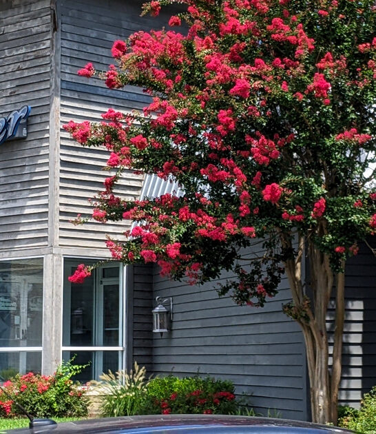 maryland prime rib restaurant ftr