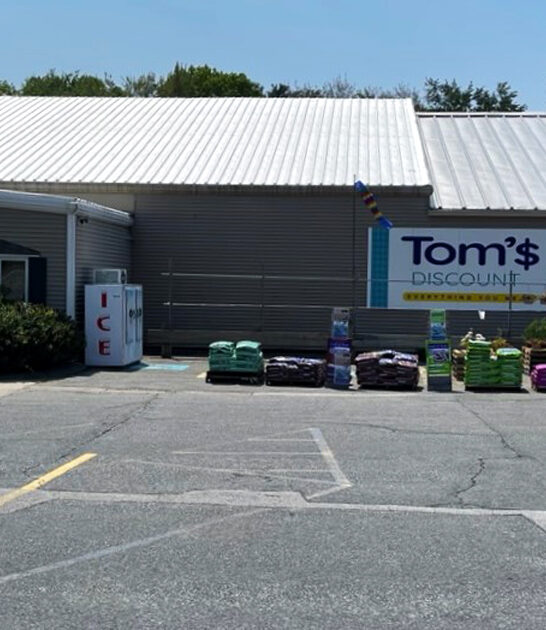 massachusetts bargain shopping paradise ftr