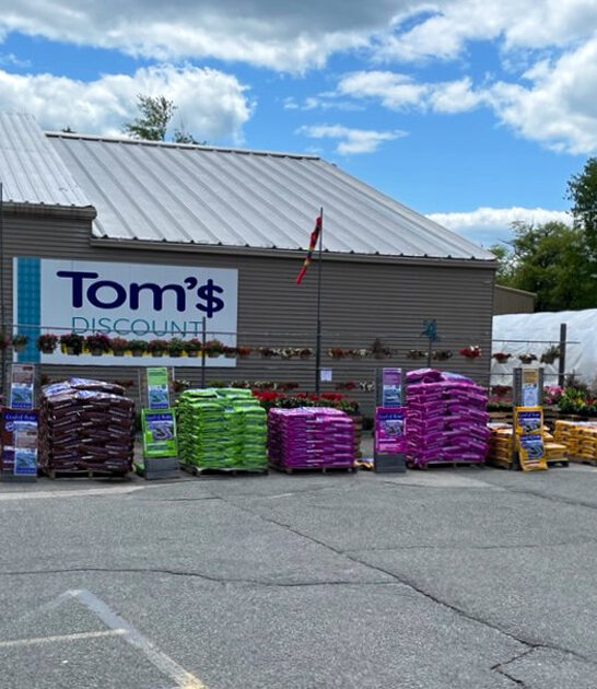 massachusetts thrift treasure hunt ftr