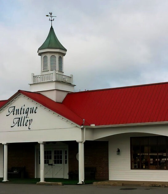 massive delaware junk shop ftr