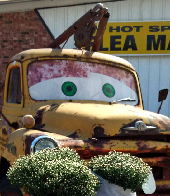 massive indoor flea arkansas ftr