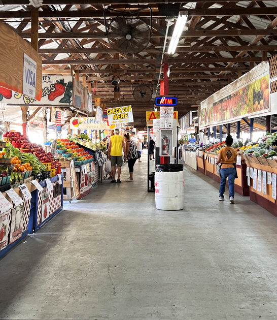 massive indoor flea florida ftr
