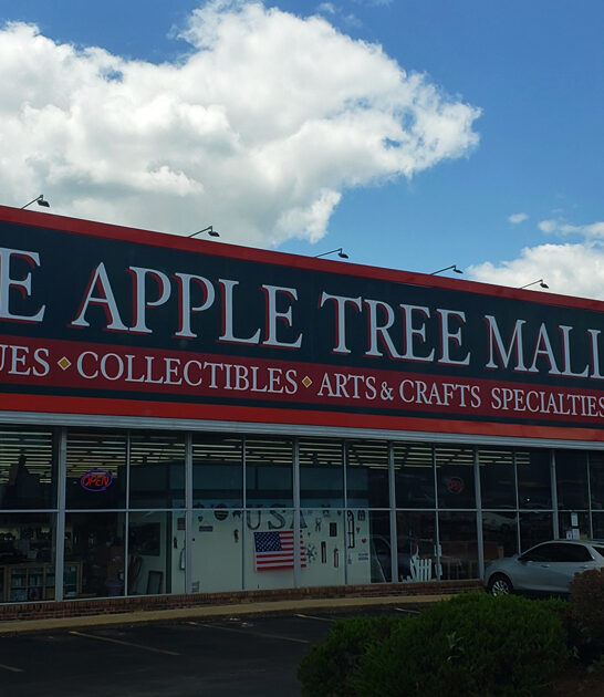 massive indoor flea missouri ftr