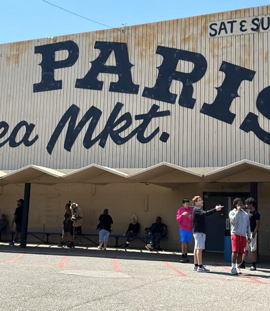massive indoor flea oklahoma ftr