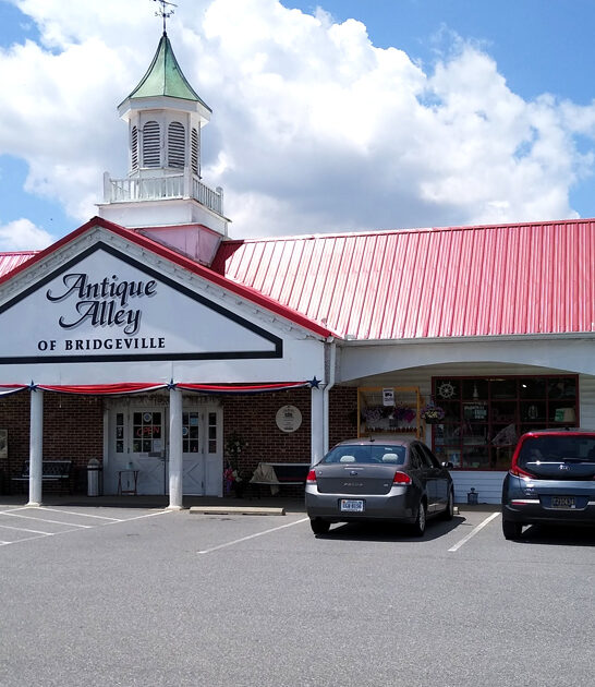 massive junk shop delaware ftr