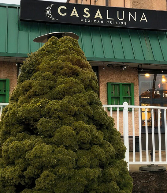 mexican food new jersey ftr