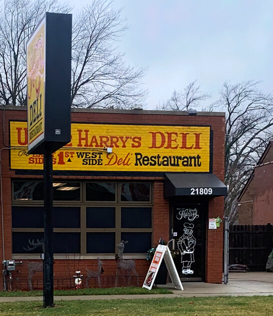 michigan best matzo ball ftr