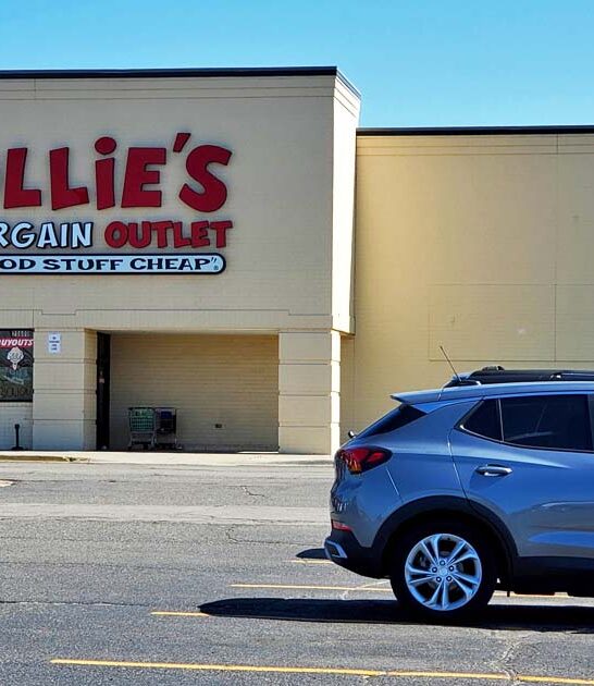 michigan massive discount store ftr