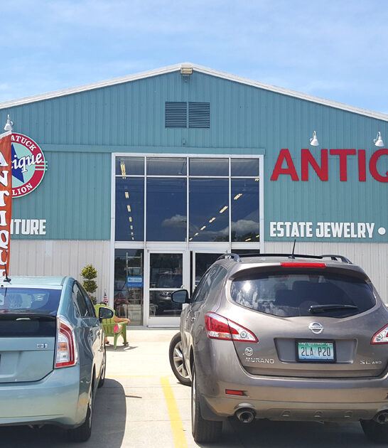 michigan rare gems store ftr