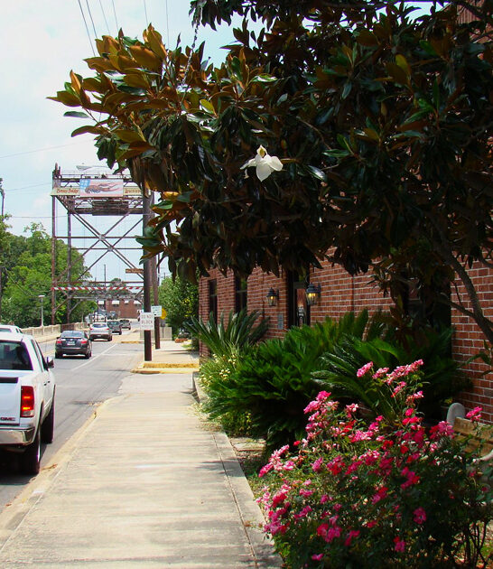 mini town louisiana perfect ftr