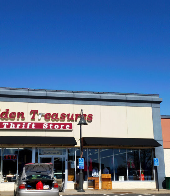 minnesota thrift store collectibles ftr