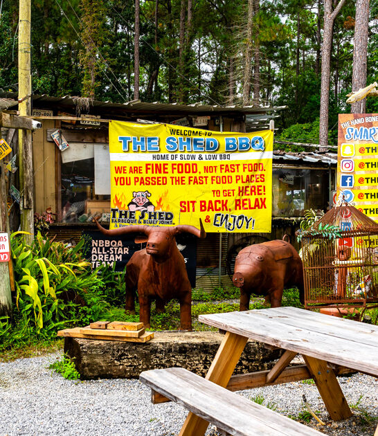 mississippi known bbq ribs ftr