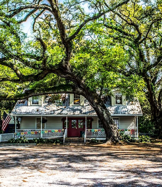 mississippi wacky restaurant ftr