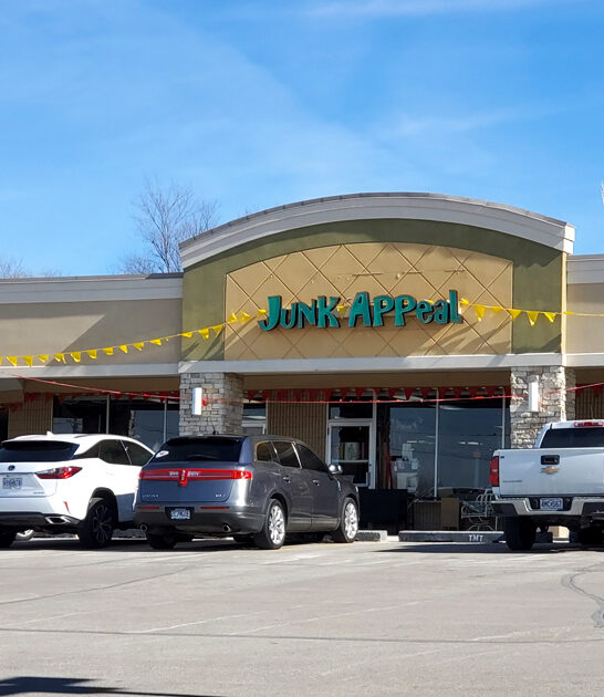 missouri junk shop bargains ftr