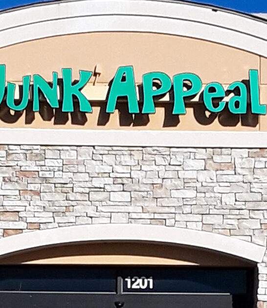 missouri junk store trip ftr