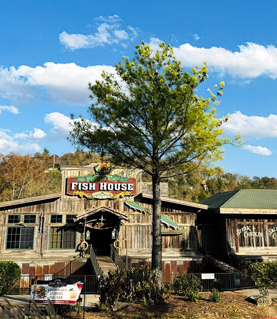 missouri springtime fish chips ftr