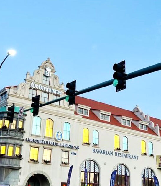 nevada pretzel food spot ftr
