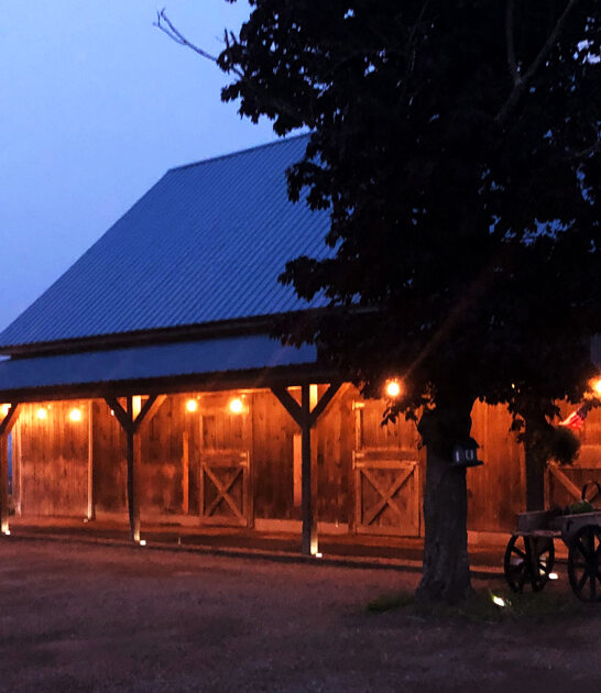 new hampshire fresh beer ftr