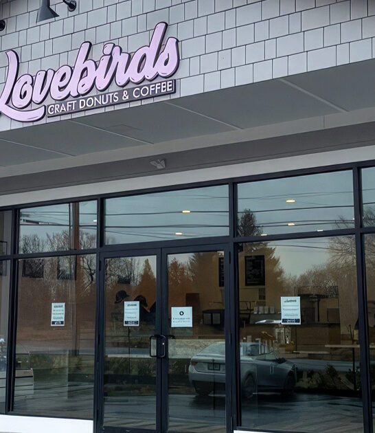 new hampshire known fritters ftr