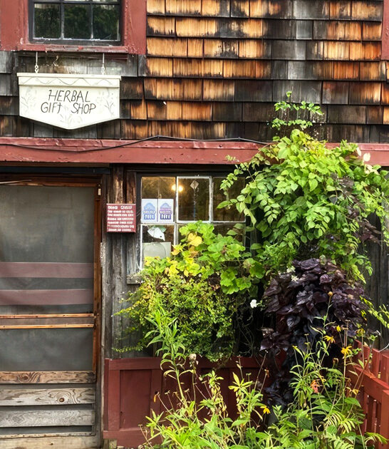 new hampshire locals food ftr