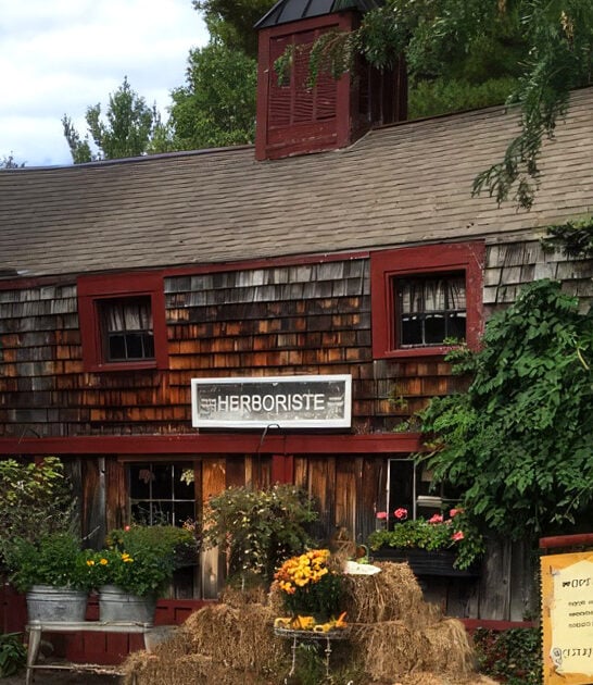 new hampshire odd dining ftr