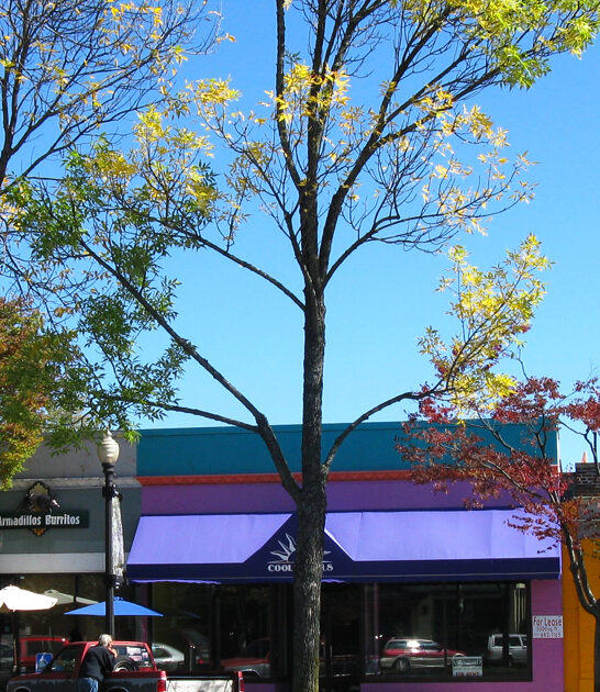 new hampshire retirement town ftr