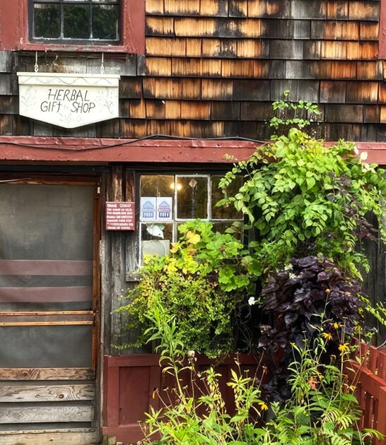 new hampshire weird eating ftr