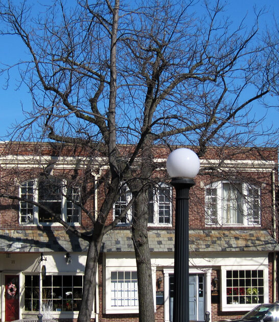 new jersey retiree town ftr