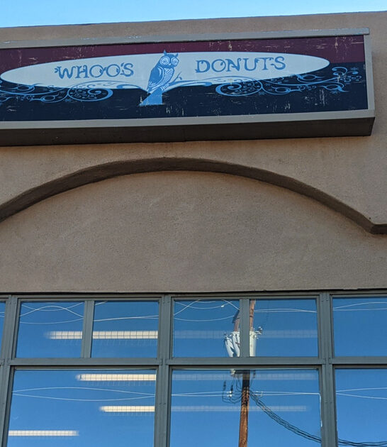 new mexico apple fritters ftr